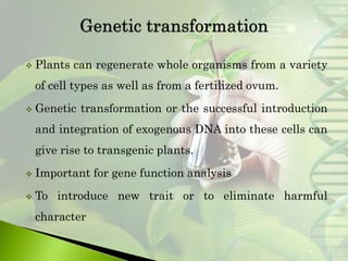 Plant transformation | PPTX