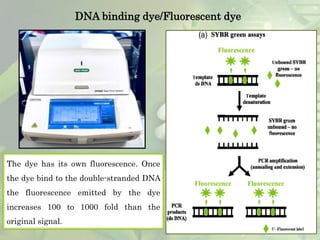 Plant transformation | PPTX