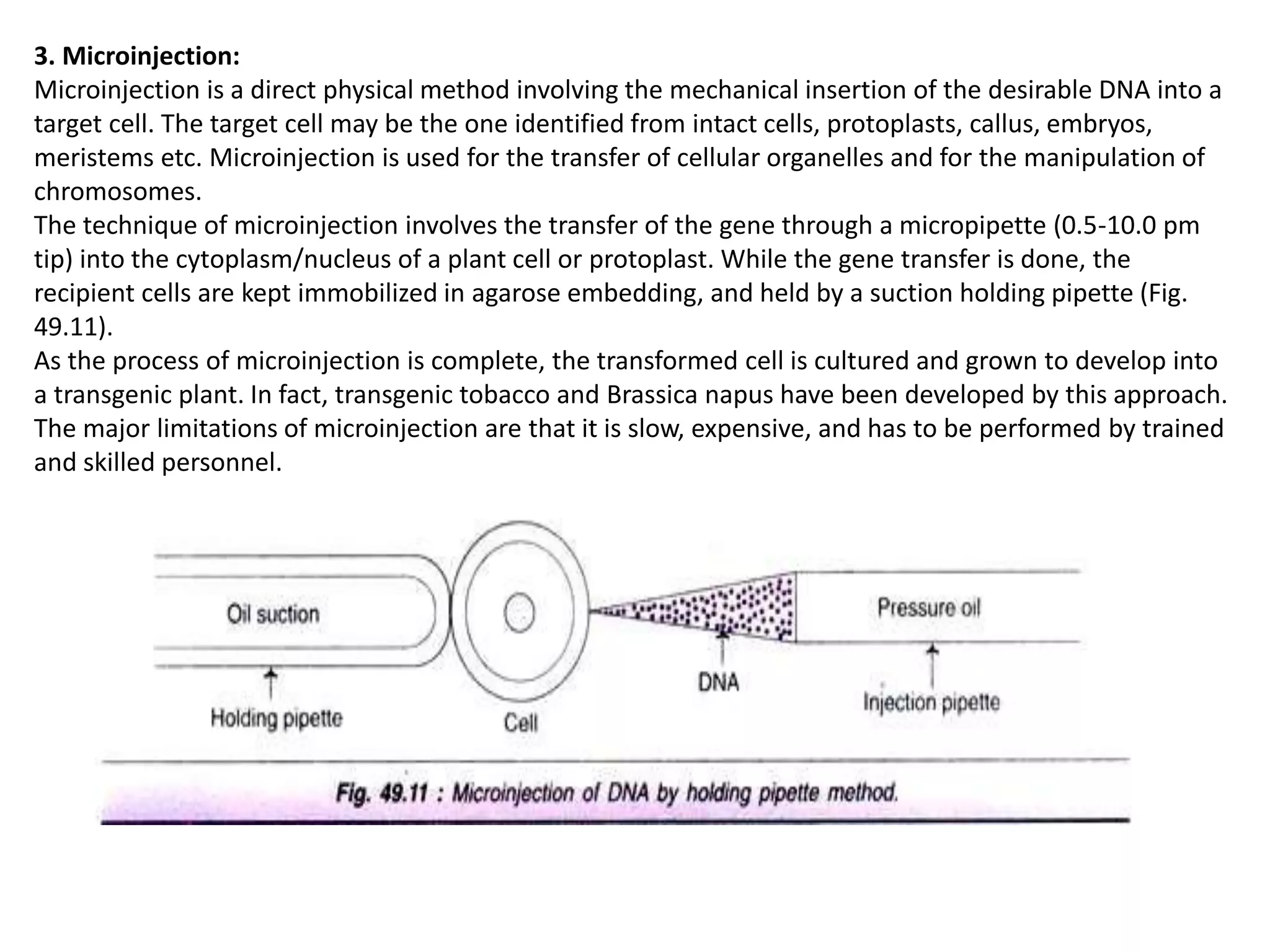 Plant transformation gene transfer methods in plants | PPTX