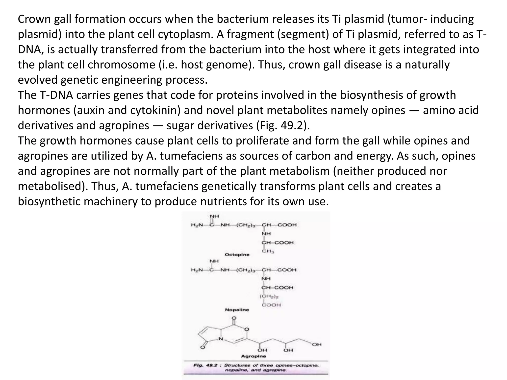 Plant transformation gene transfer methods in plants | PPTX