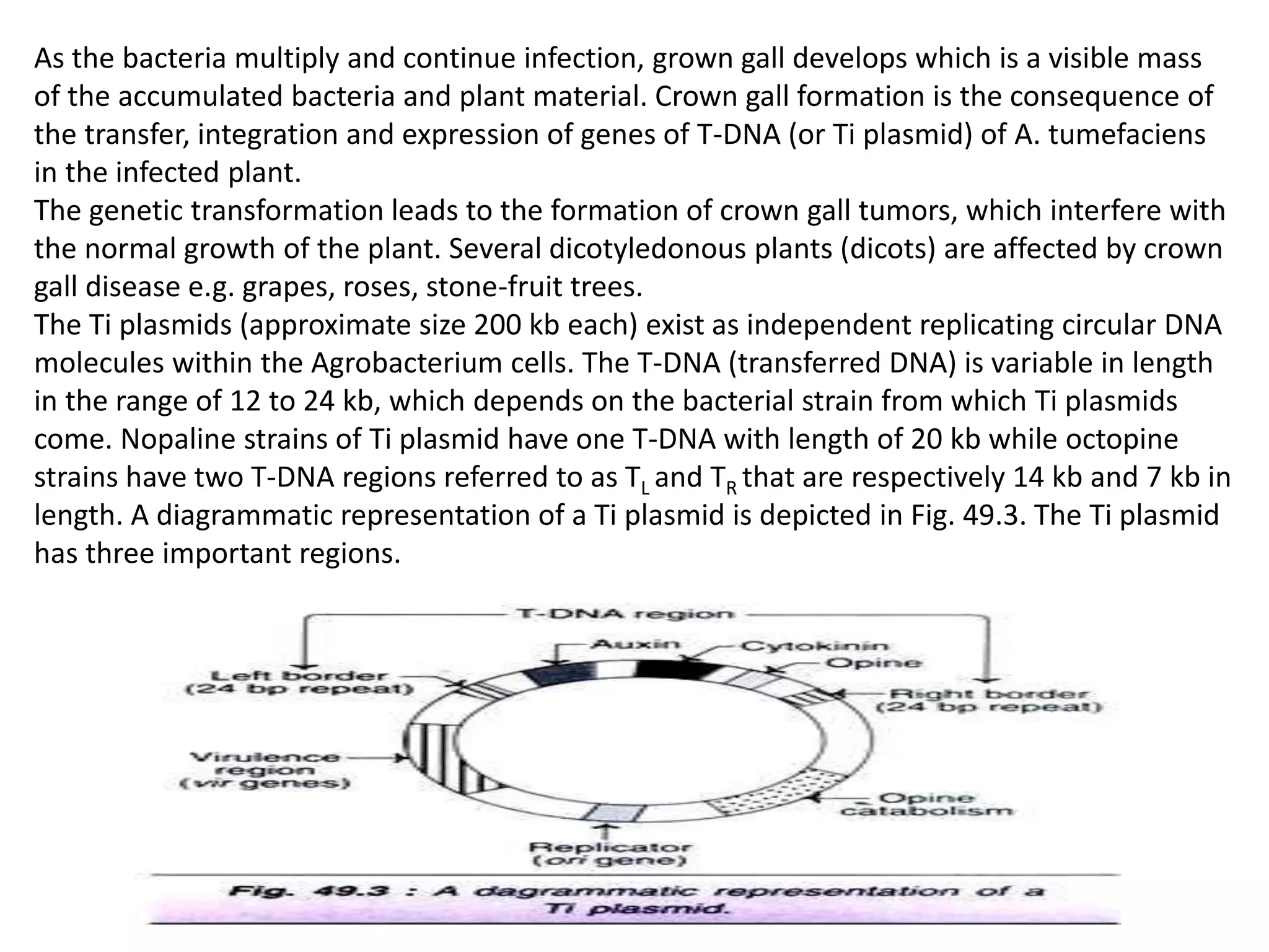 Plant transformation gene transfer methods in plants | PPTX