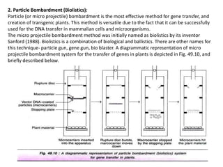 Plant transformation gene transfer methods in plants | PPTX