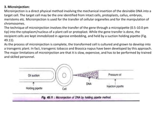 Plant transformation gene transfer methods in plants | PPTX