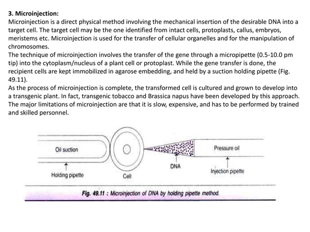 Plant transformation gene transfer methods in plants | PPTX | Genetics ...
