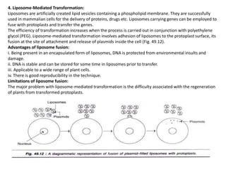 Plant transformation gene transfer methods in plants | PPTX