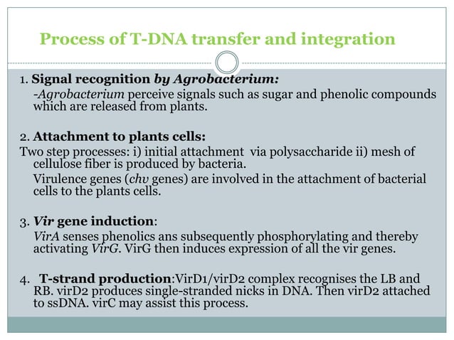 Plant transformation methods | PPTX