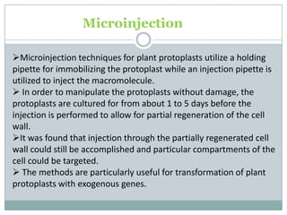 Plant transformation methods | PPTX