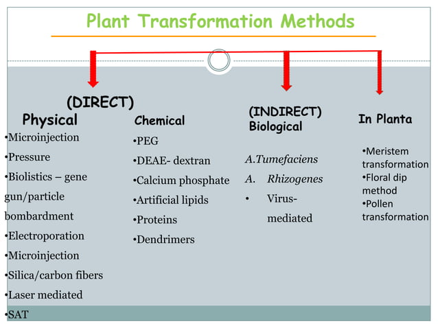 Plant transformation methods | PPTX