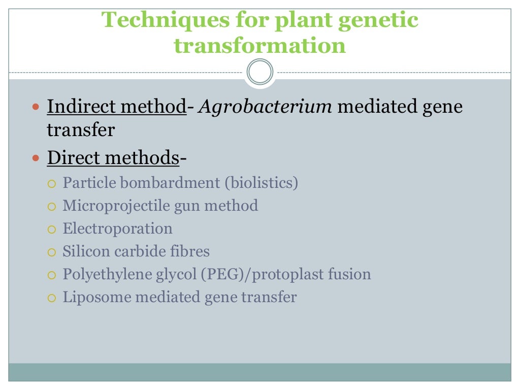 Plant transformation methods