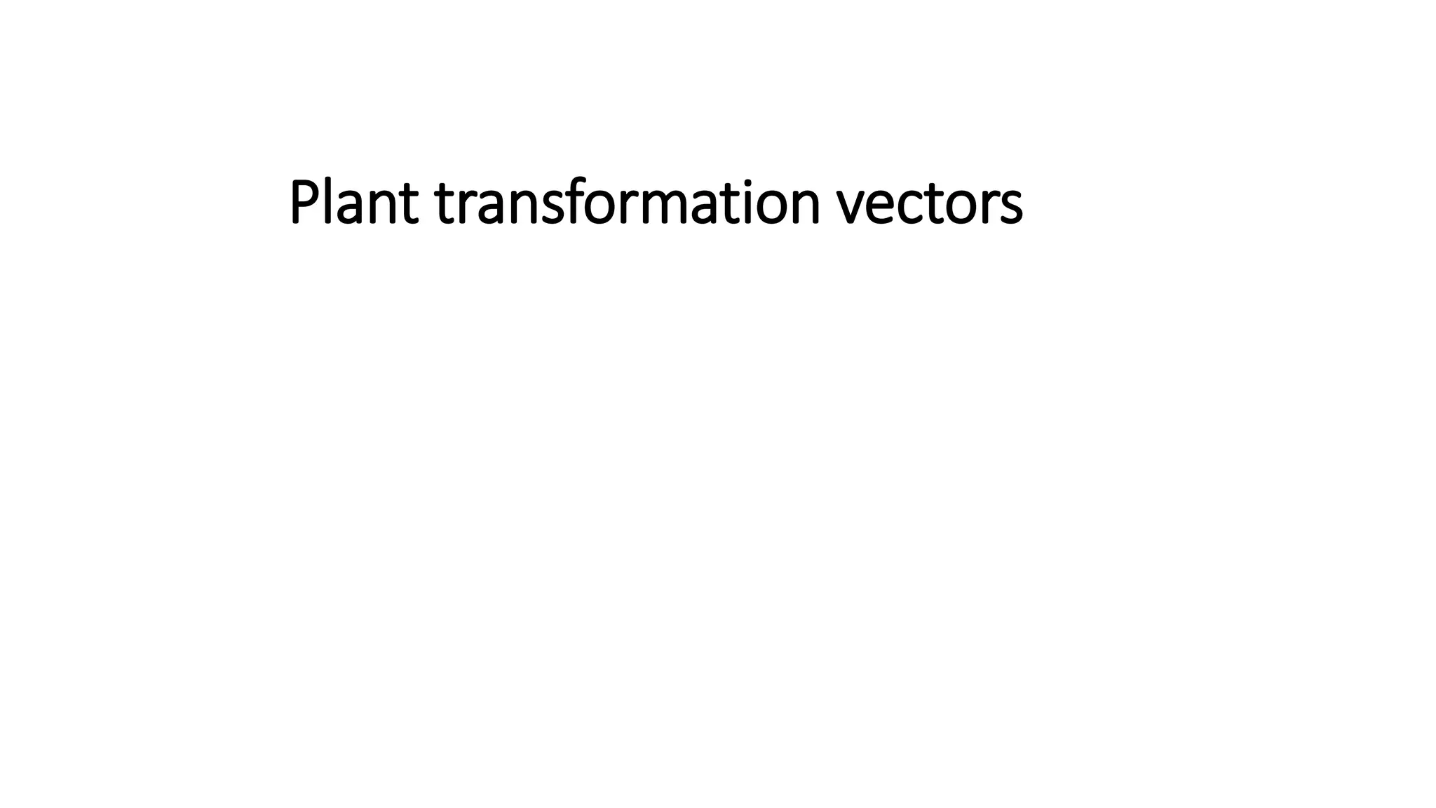 PLANT TRANSFORMATIVE VECTORS.pptx