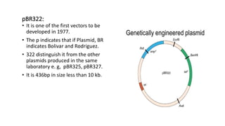 PLANT TRANSFORMATIVE VECTORS.pptx