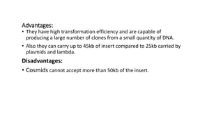 PLANT TRANSFORMATIVE VECTORS.pptx