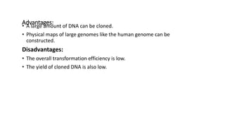 PLANT TRANSFORMATIVE VECTORS.pptx