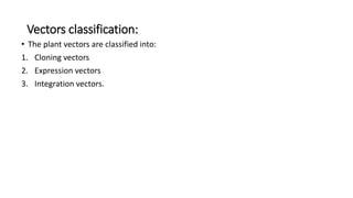 PLANT TRANSFORMATIVE VECTORS.pptx