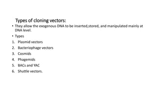 PLANT TRANSFORMATIVE VECTORS.pptx