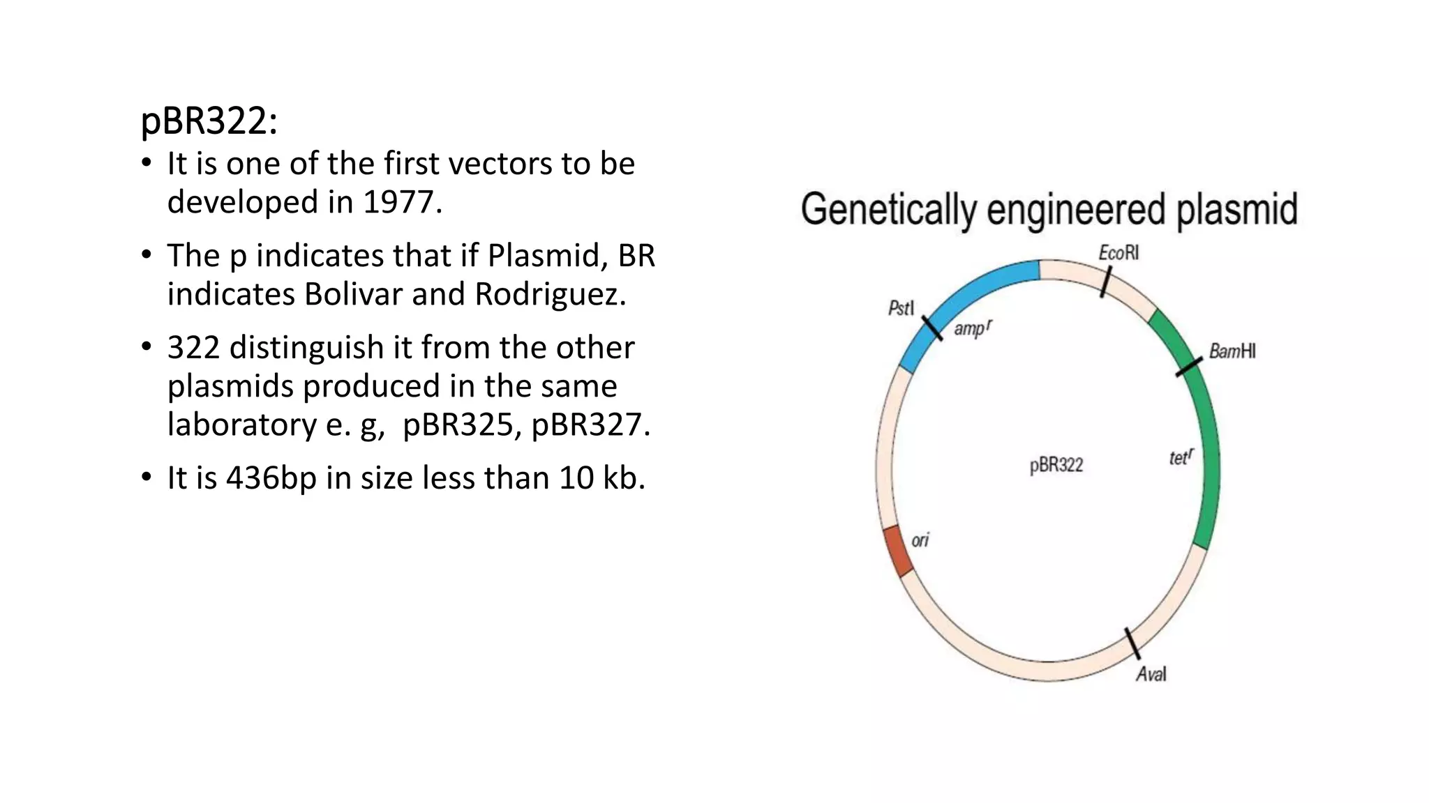 PLANT TRANSFORMATIVE VECTORS.pptx