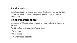 PLANT TRANSFORMATIVE VECTORS.pptx