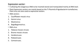 PLANT TRANSFORMATIVE VECTORS.pptx
