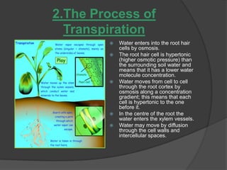 Plant transpiration | PPTX