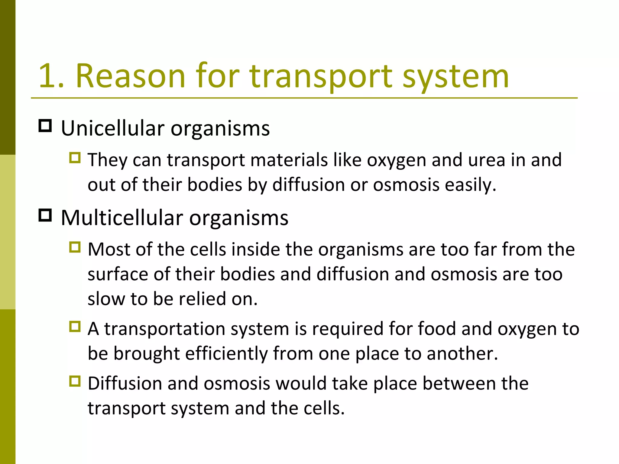 Plant Transport | PPT