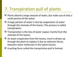 Plant Transport | PPT