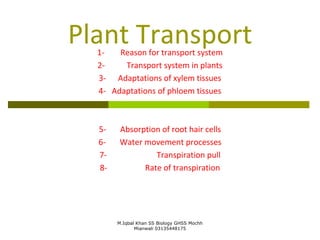 Plant transport | PPT