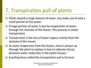 Plant transport | PPT