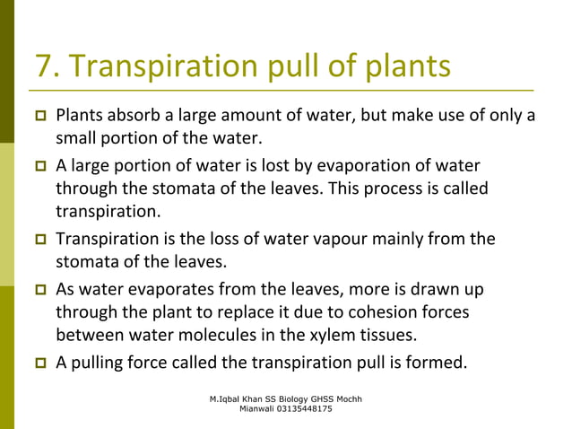 Plant transport | PPT