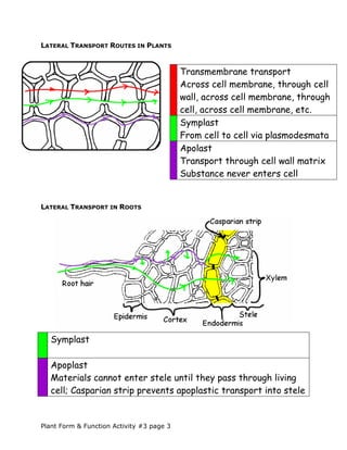 Plant transport notes | PDF