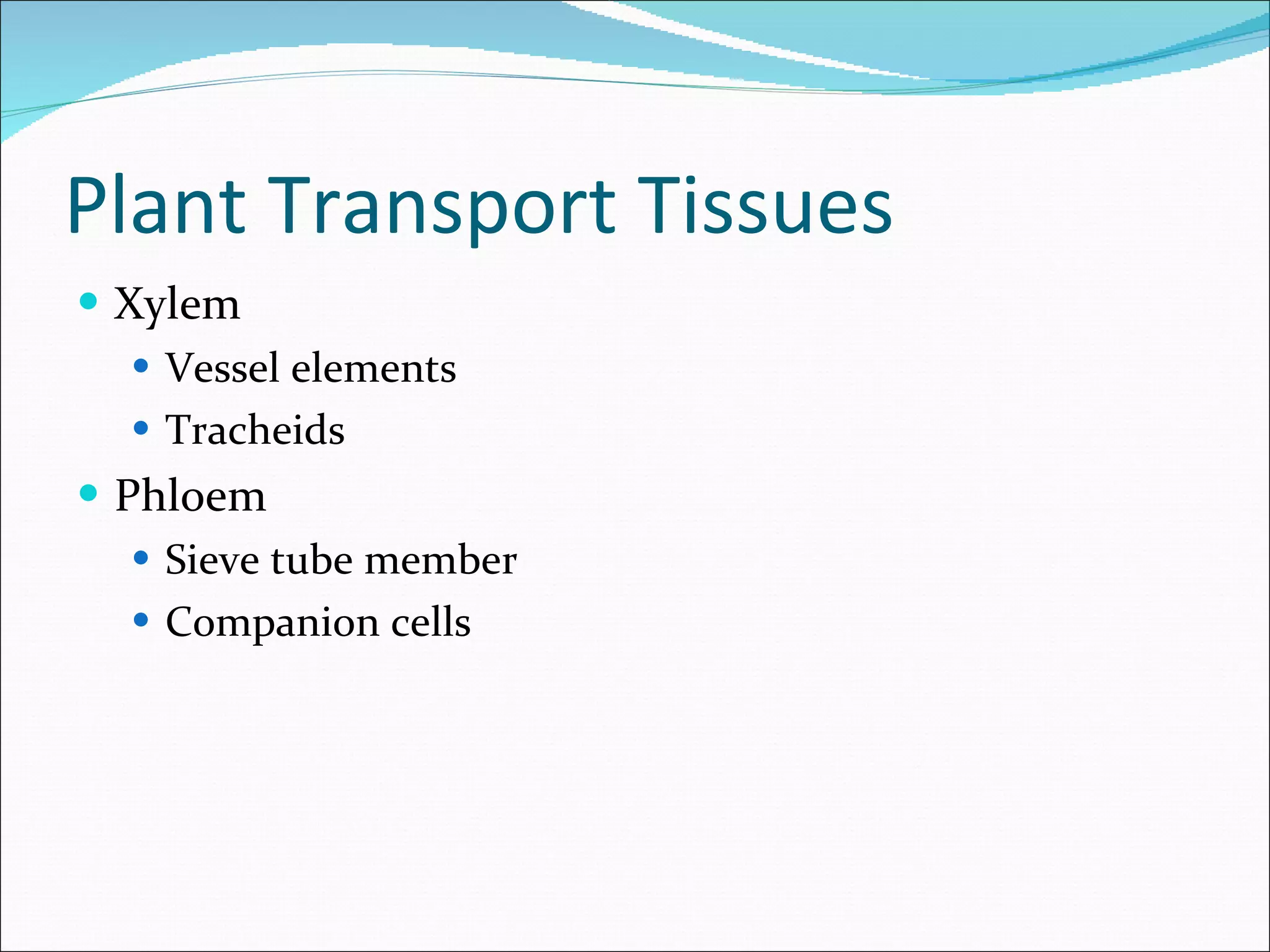 Plant transport ppt | PPT