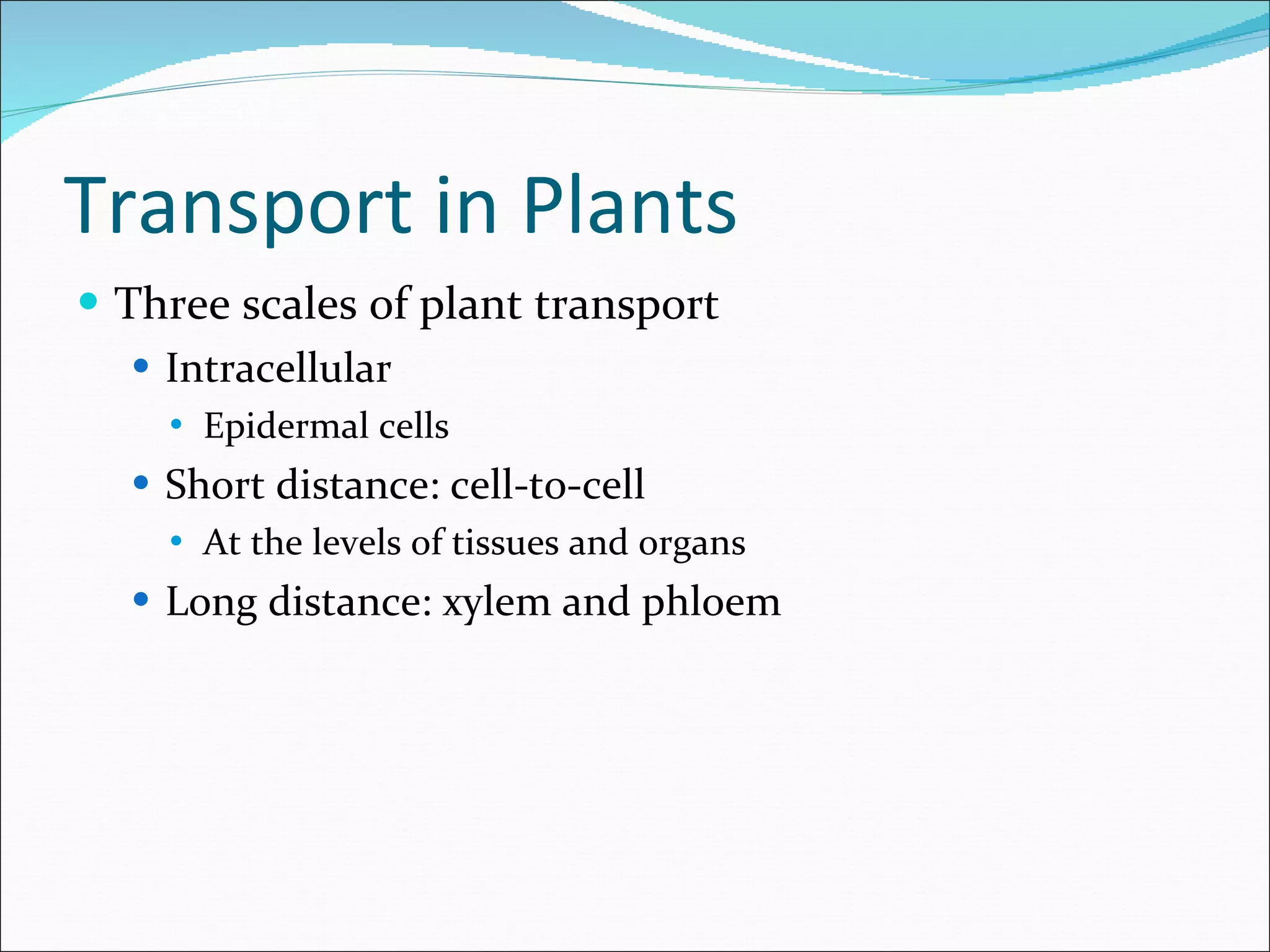 Plant transport ppt | PPT