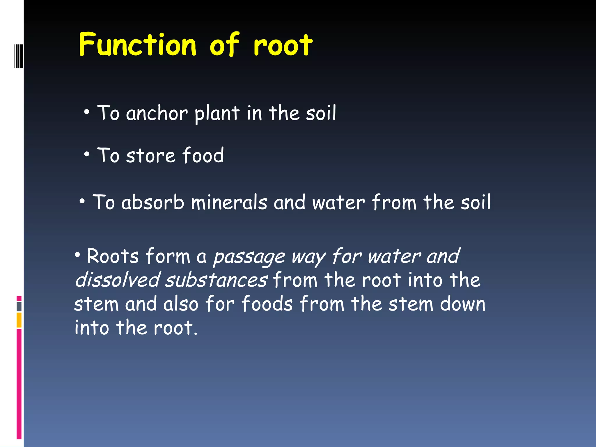 Plant Transport System | PPT