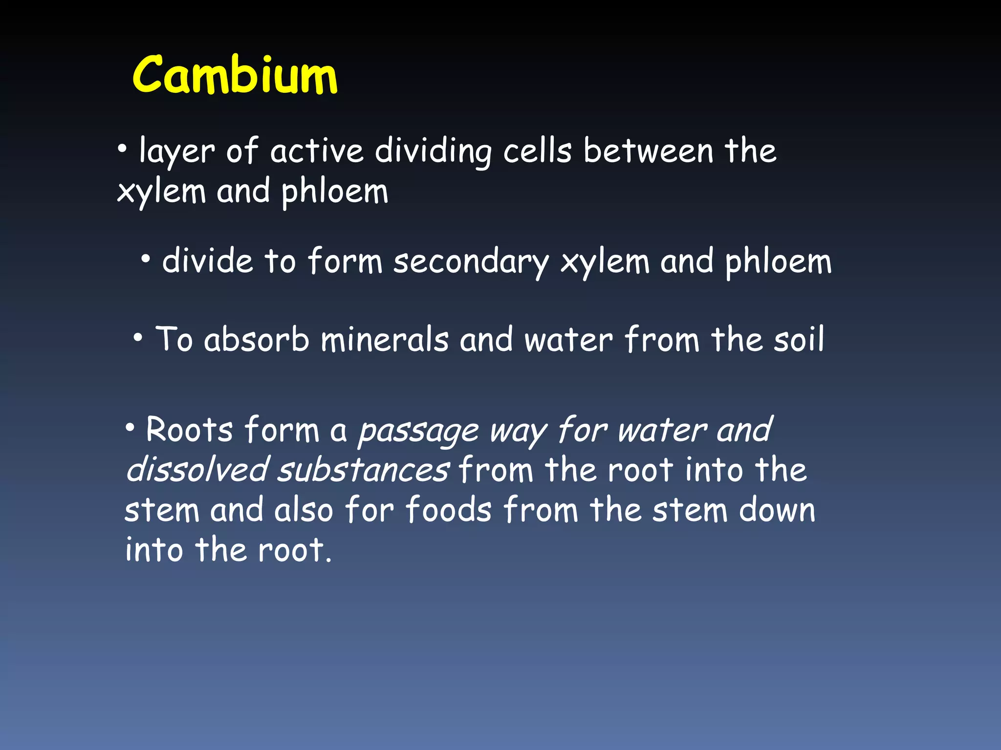 Plant Transport System | PPT
