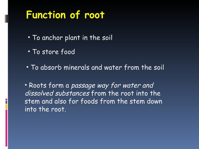 Plant Transport System | PPT