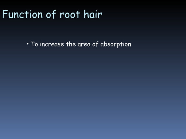 Plant Transport System | PPT