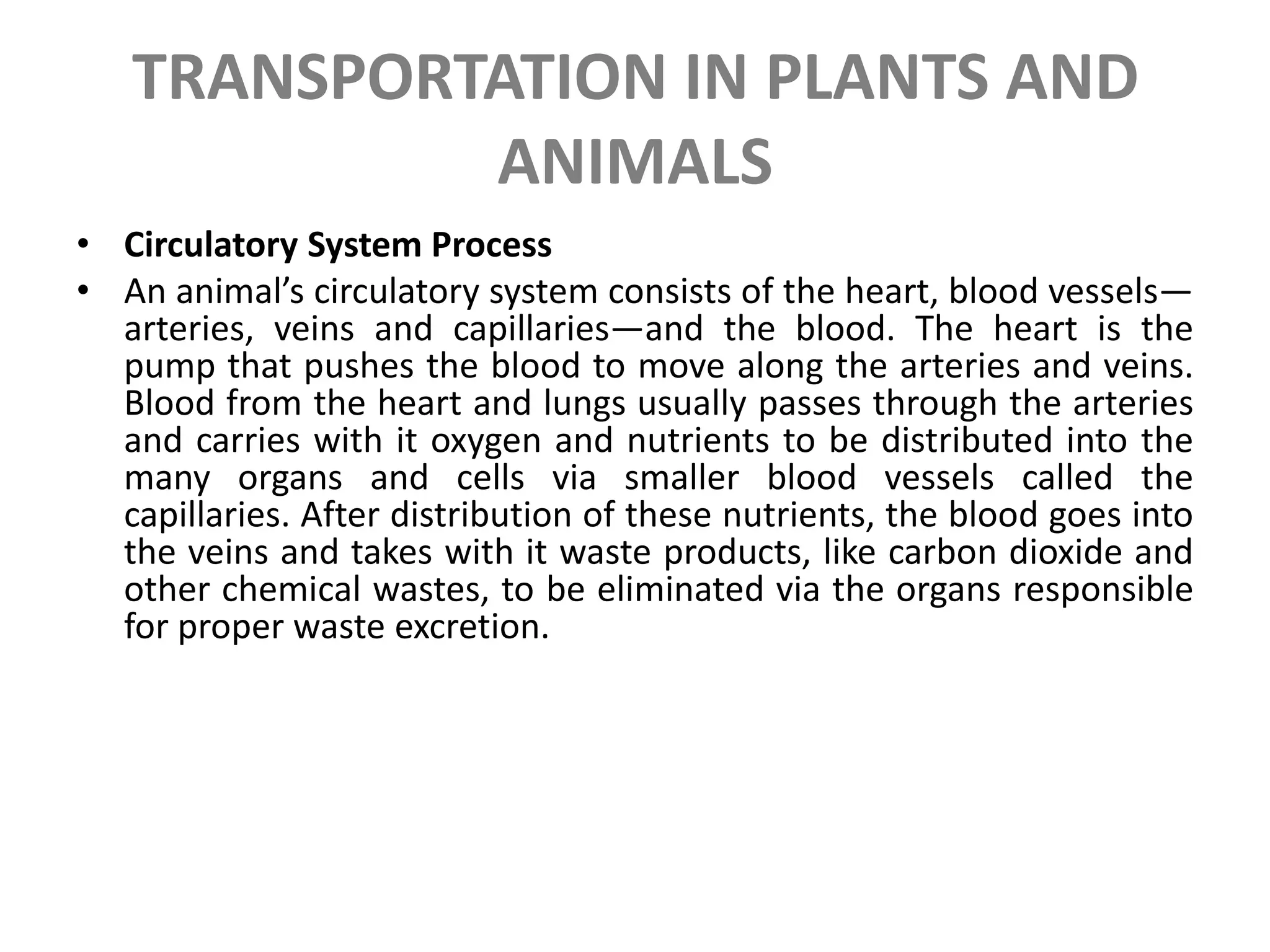 Plant transport system | PPTX
