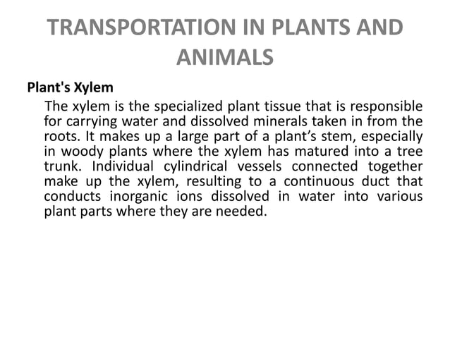 Plant transport system | PPTX