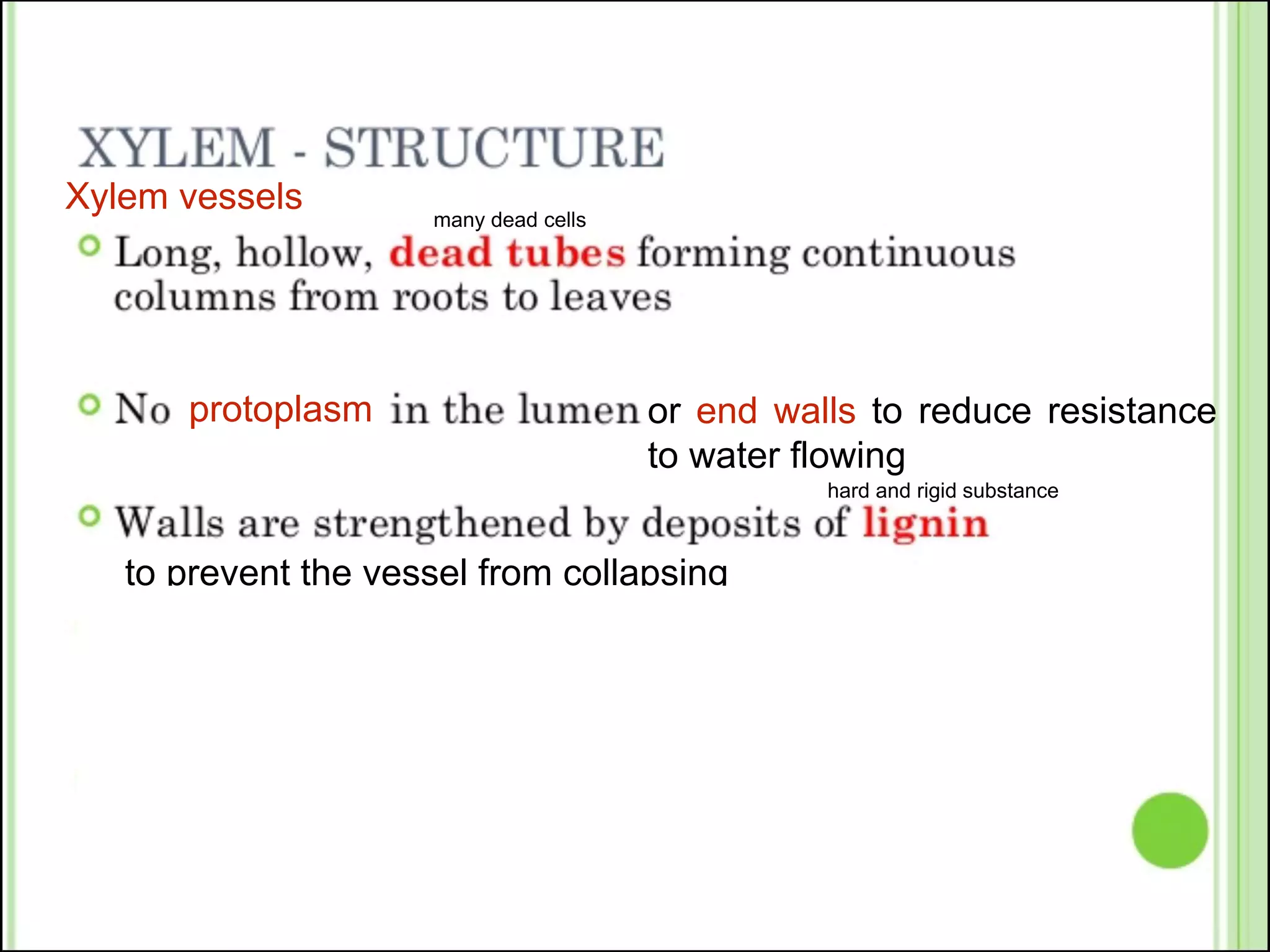 Biology - Plant Transport System.pptx