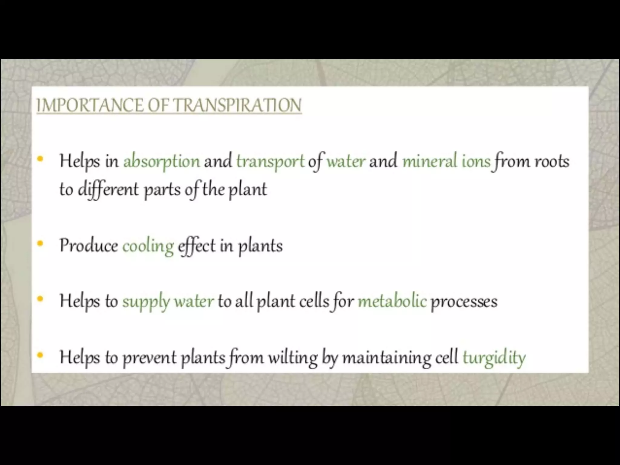 Biology - Plant Transport System.pptx
