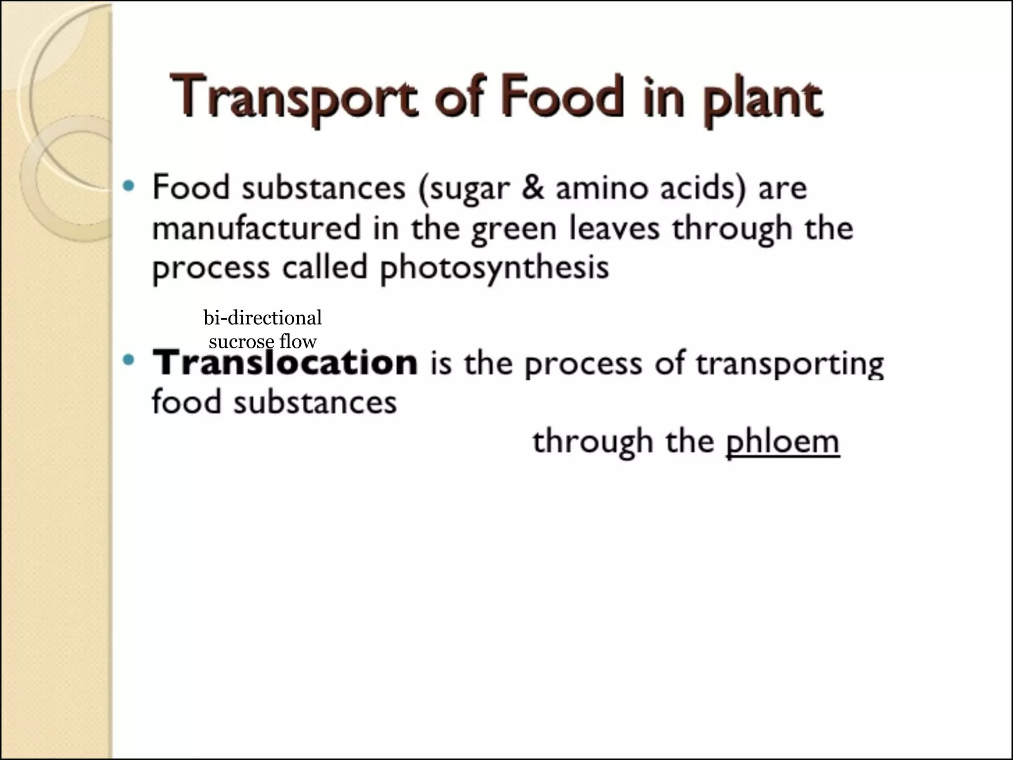 Biology - Plant Transport System.pptx