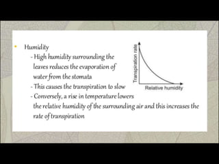 Biology - Plant Transport System.pptx