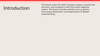 Plant Transport System Lesson.......pptx