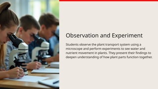 Plant Transport System Lesson.......pptx