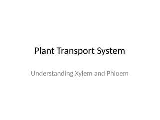 Plant_Transport_System_PPT_with_Images_and_Quiz.pptx