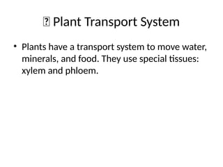 Plant_Transport_System_PPT_with_Images_and_Quiz.pptx