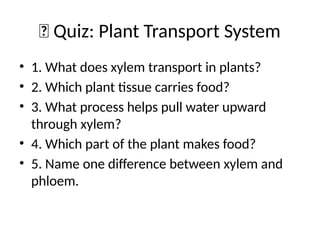 Plant_Transport_System_PPT_with_Images_and_Quiz.pptx
