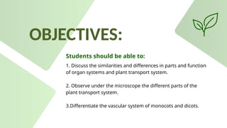 Plant Transport System Presentation in Green Gradient Style.pptx