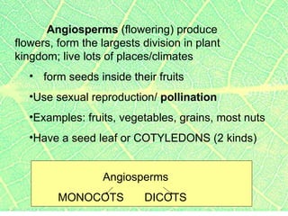 Plant unit: a study on plant classification, germination, pollination ...