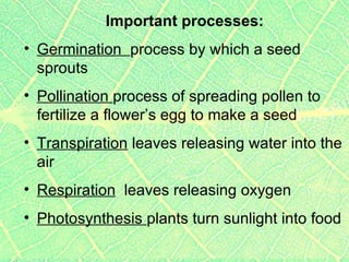 Plant unit: a study on plant classification, germination, pollination ...