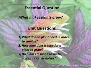 Plantunitplan | PPT